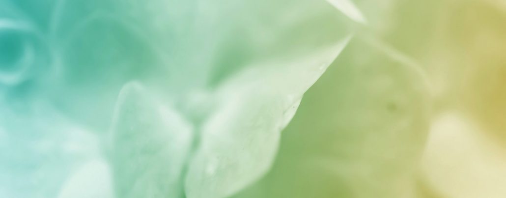 signup-background – OhSpa